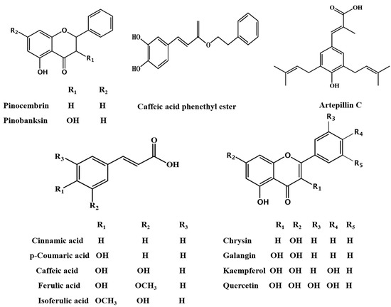 Recent Advances in the Chemical Composition of Propolis