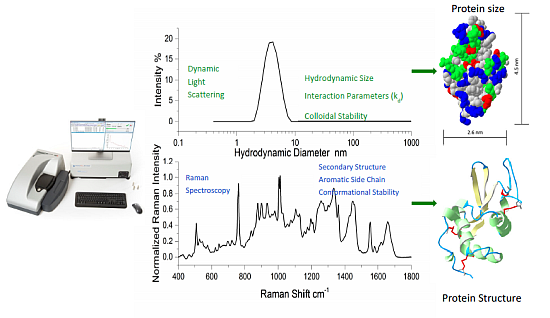 Molecules | Free Full-Text | Combined Dynamic Light Scattering and ...