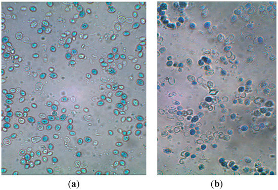 Evaluation of the Efficiency of Different Disruption Methods on Yeast ...