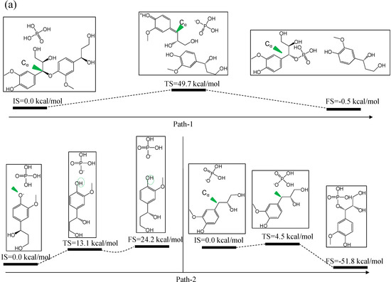 Lignin Hydrolysis and Phosphorylation Mechanism during Phosphoric Acid–Acetone Pretreatment: A ...