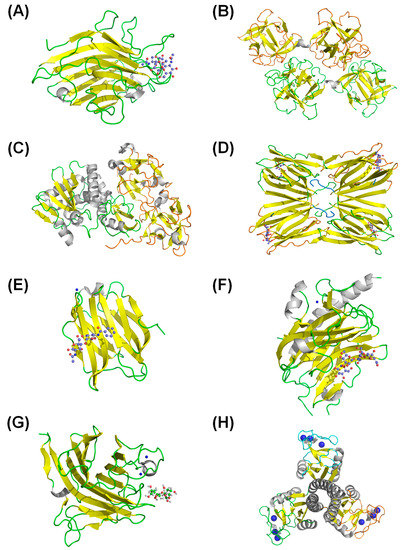 Insights into Animal and Plant Lectins with Antimicrobial Activities