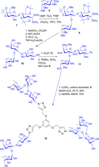Lectins: Getting Familiar with Translators of the Sugar Code