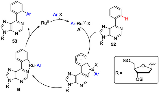 Modification of Purine and Pyrimidine Nucleosides by Direct C-H Bond ...