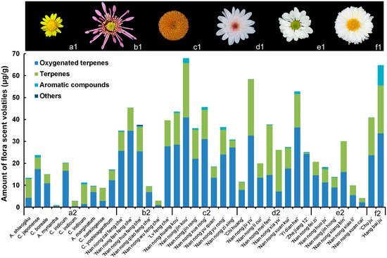 Identification of Floral Scent in Chrysanthemum Cultivars and Wild ...