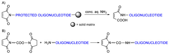 Exploiting Protected Maleimides to Modify Oligonucleotides, Peptides ...
