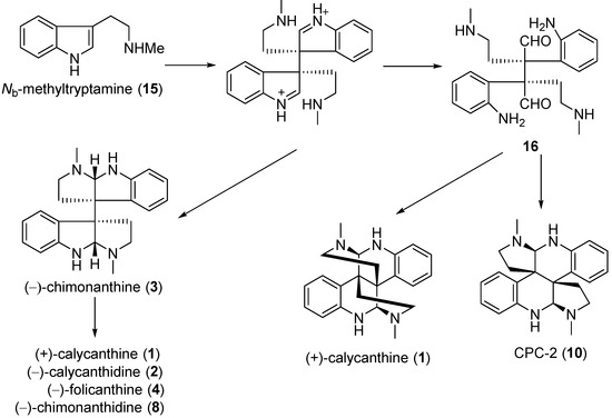 Studies on the Alkaloids of the Calycanthaceae and Their Syntheses