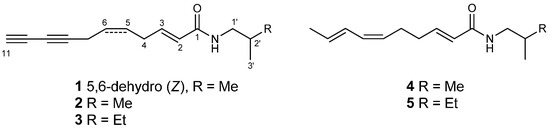 Alkylamides of Acmella oleracea