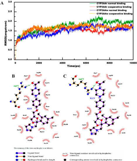 Pi-pi Stacking Mediated Cooperative Mechanism for Human Cytochrome P450 3A4