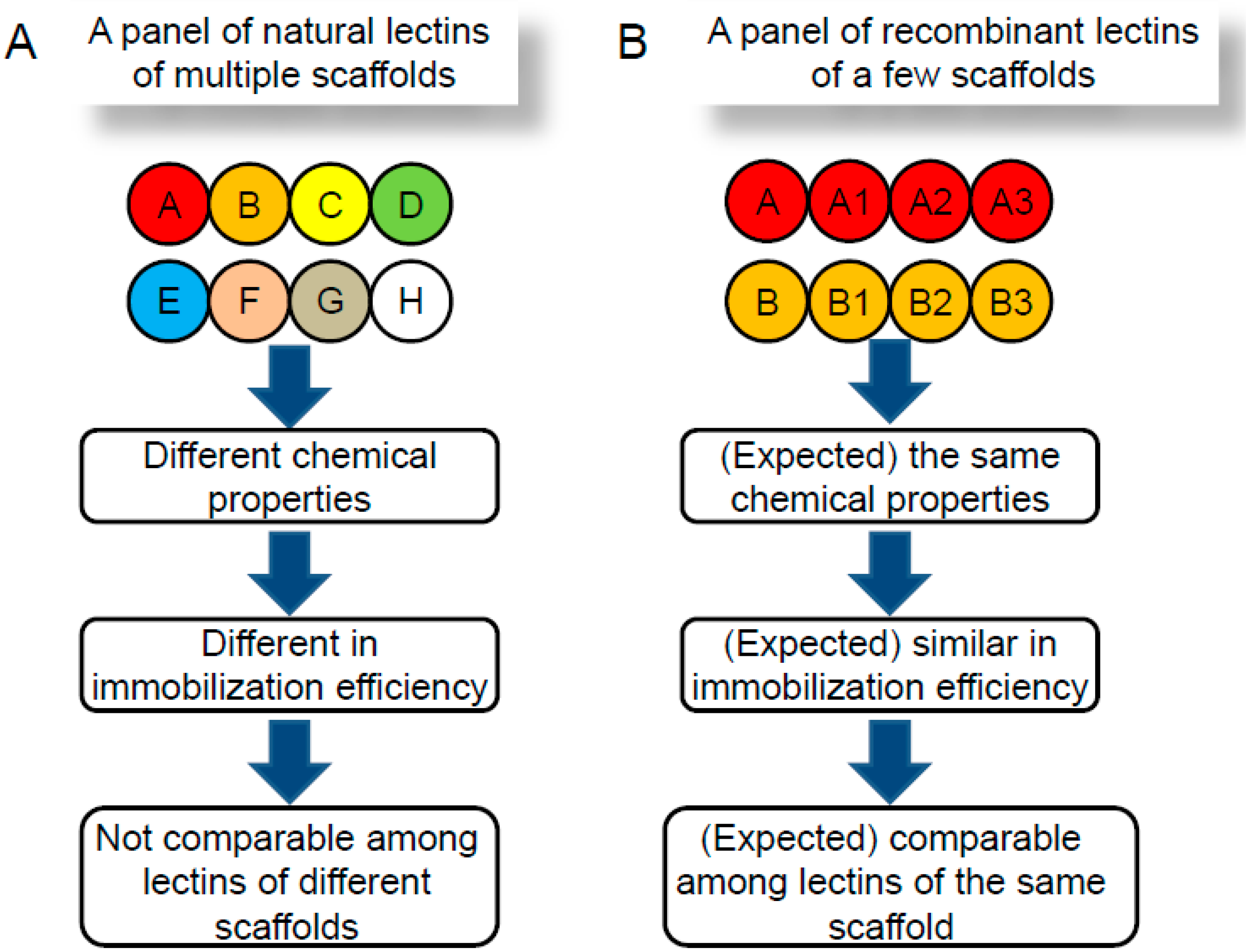 Lectin Engineering, a Molecular Evolutionary Approach to Expanding the ...