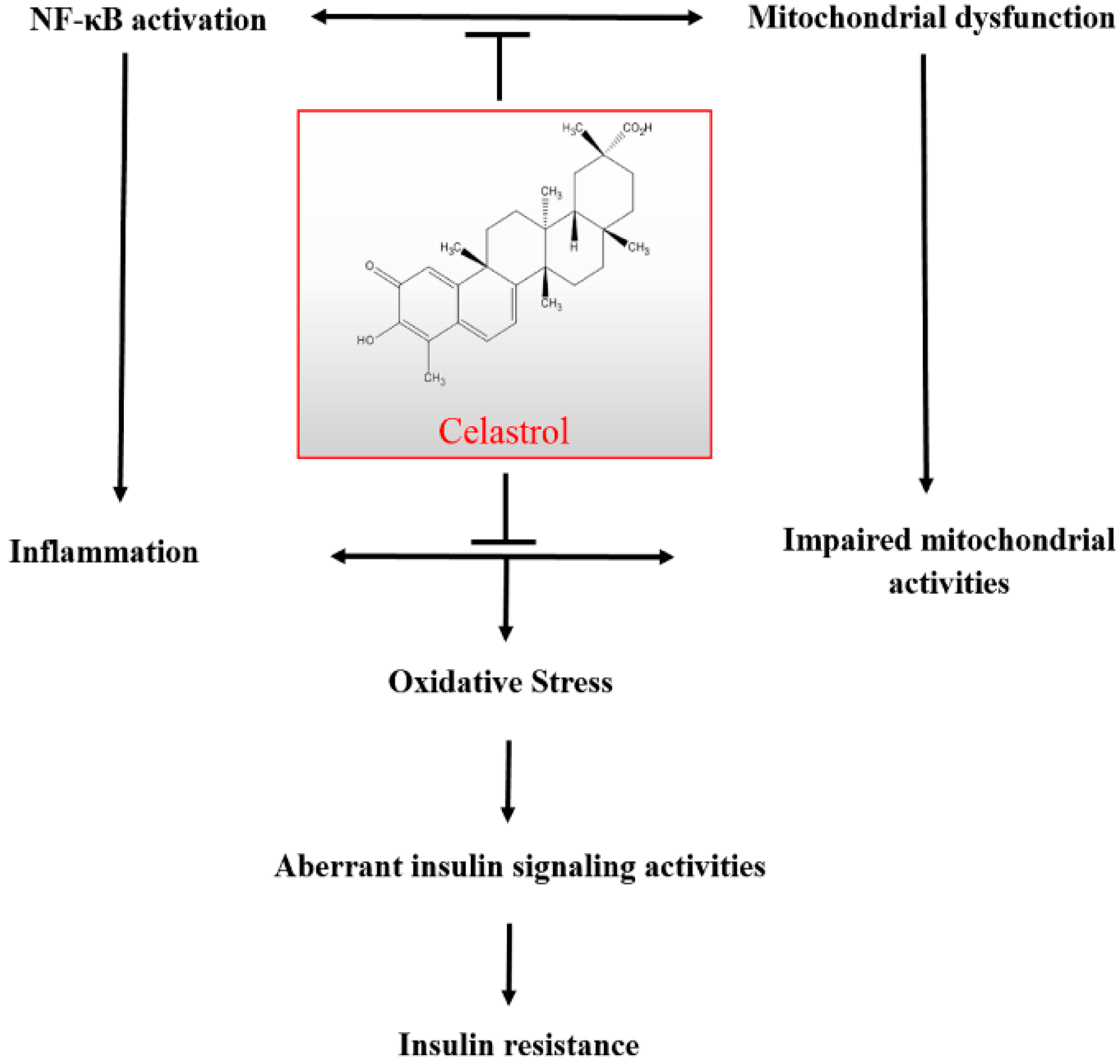 Molecules | Free Full-Text | Celastrol Protects against Antimycin A ...