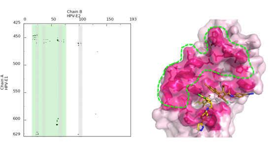 Molecules | Free Full-Text | Analysis and Ranking of Protein-Protein ...