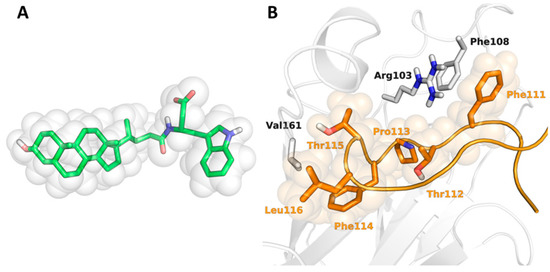 Molecules | Special Issue : Small Molecules Modulation in Protein ...
