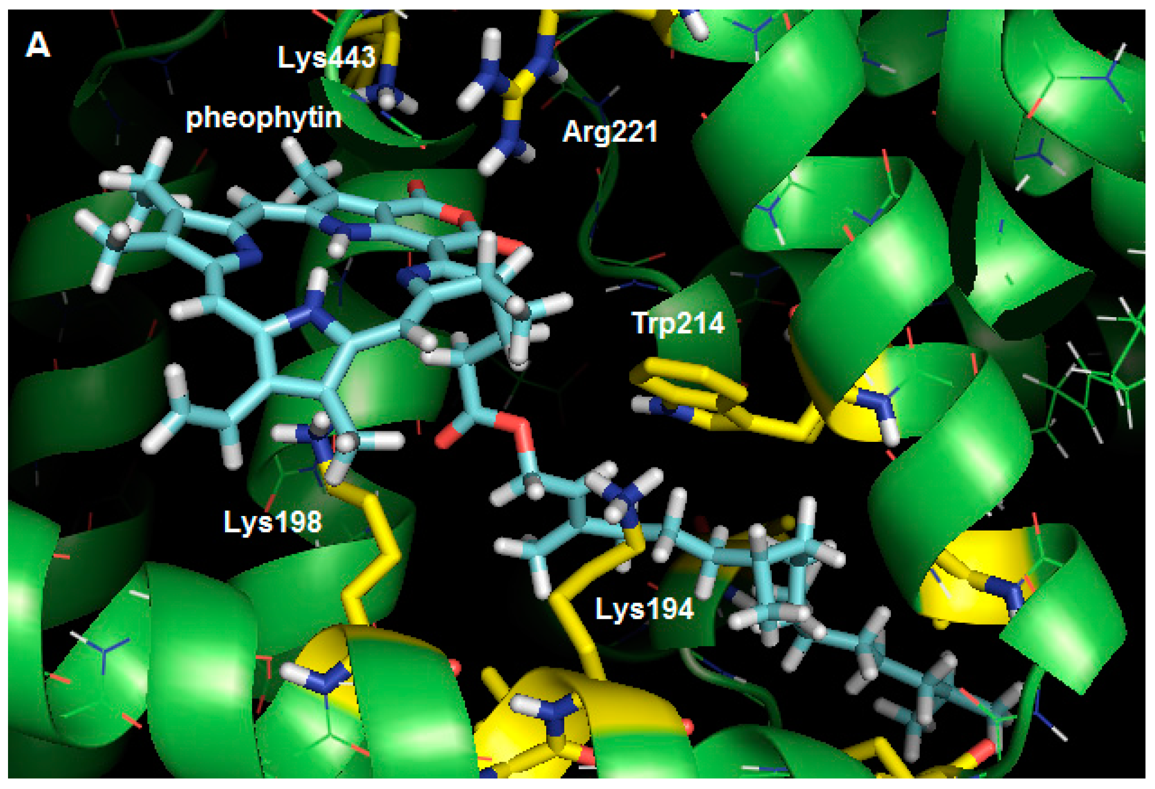 Fluorescence and Docking Studies of the Interaction between Human Serum ...
