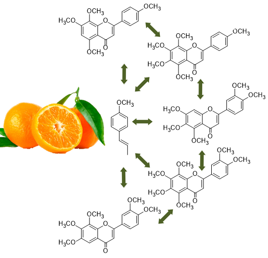 Molecules | Free Full-Text | Synergy and Other Interactions between ...