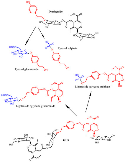 Targeted and Untargeted Metabolomics to Explore the Bioavailability of ...