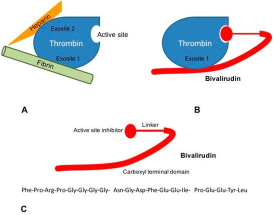 Molecules | Free Full-Text | New Approaches to the Role of Thrombin in ...