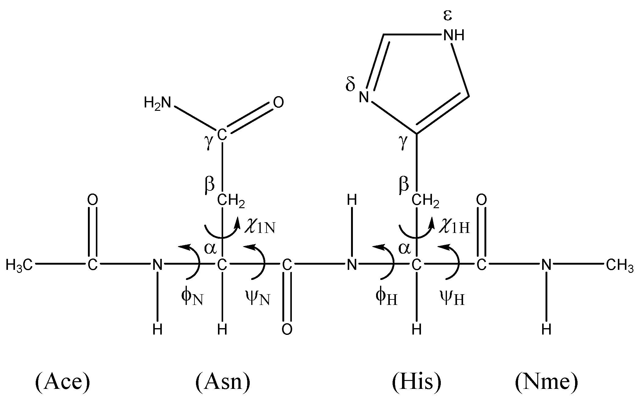 A Computational Study of the Mechanism of Succinimide Formation in the ...