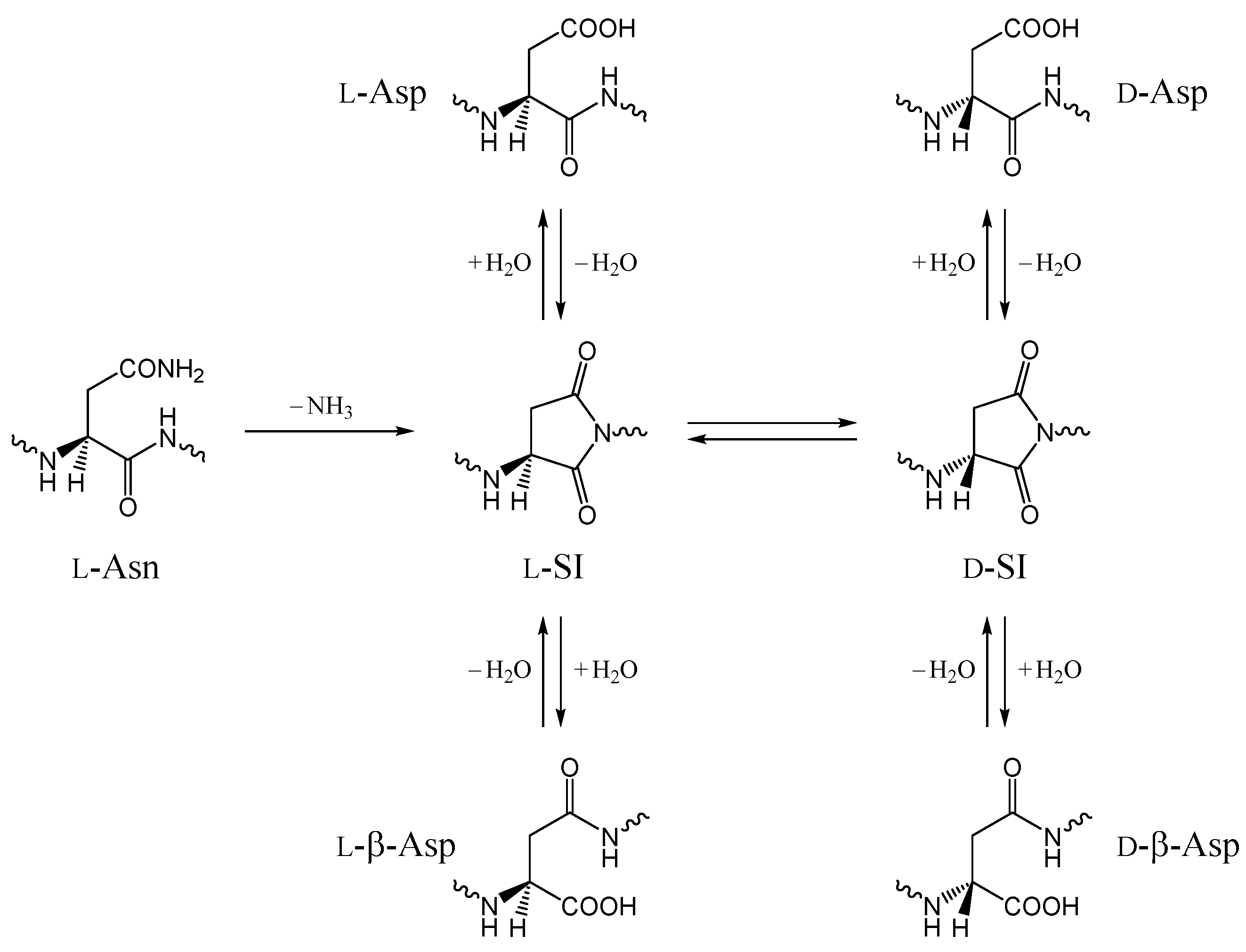 Molecules | Free Full-Text | A Computational Study of the Mechanism of ...