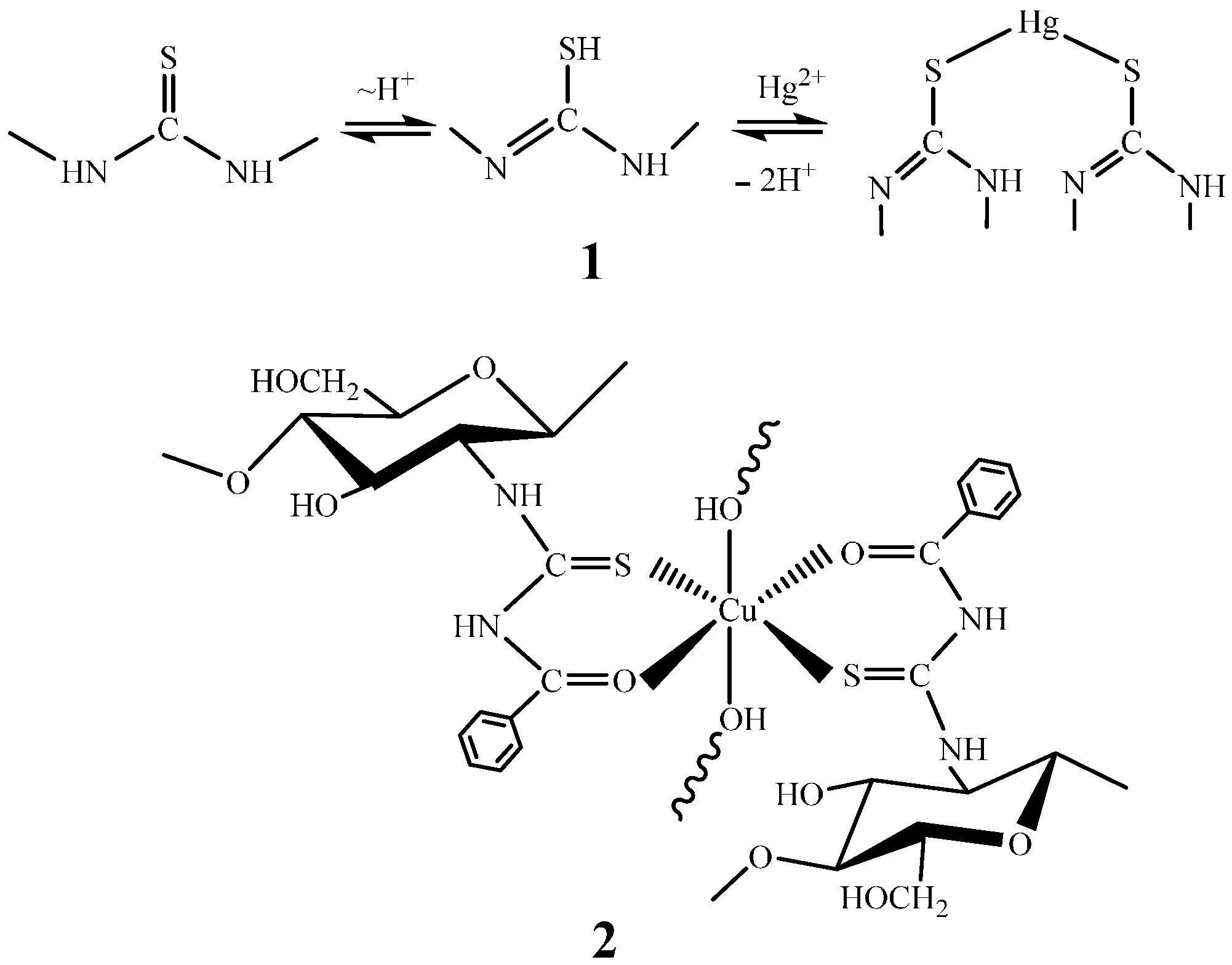Chitosan and Its Derivatives as Highly Efficient Polymer Ligands