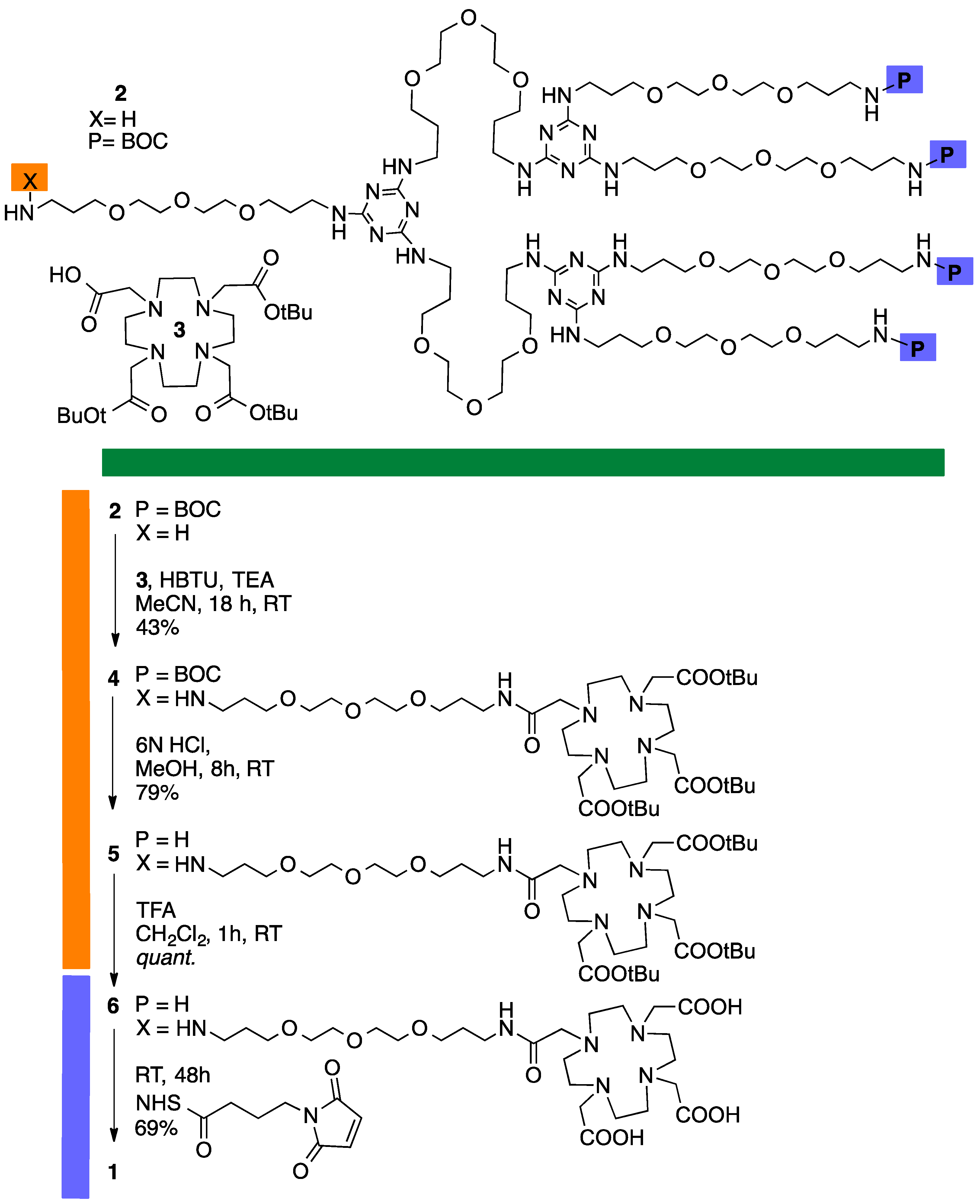 Functionalization of a Triazine Dendrimer Presenting Four Maleimides on ...