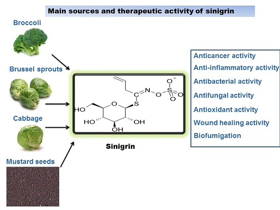 Molecules | Free Full-Text | Sinigrin and Its Therapeutic Benefits