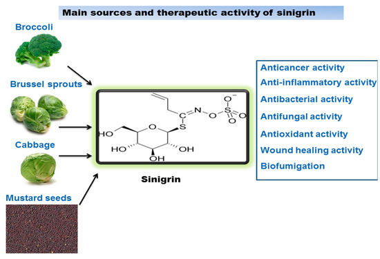 Sinigrin and Its Therapeutic Benefits