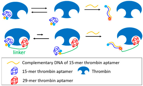 Methods for Improving Aptamer Binding Affinity