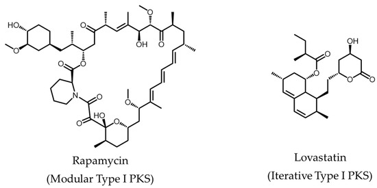 Exploiting the Biosynthetic Potential of Type III Polyketide Synthases
