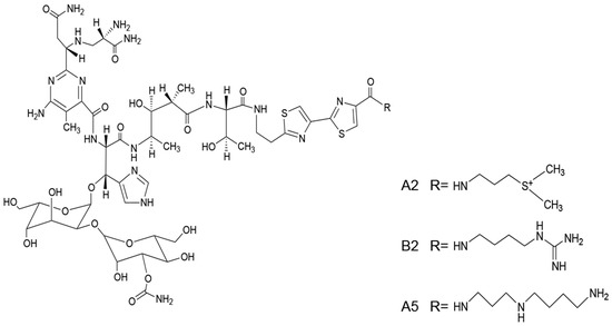 Pingyangmycin and Bleomycin Share the Same Cytotoxicity Pathway