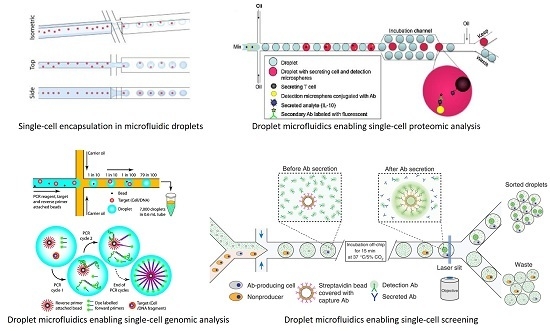 Molecules | Free Full-Text | Development of Droplet Microfluidics Enabling High-Throughput ...