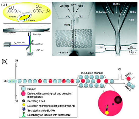 Development of Droplet Microfluidics Enabling High-Throughput Single-Cell Analysis