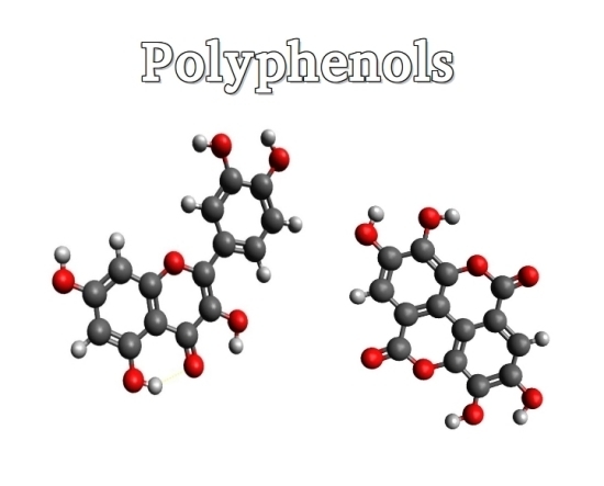 Molecules | Free Full-Text | Polyphenols: Extraction Methods ...