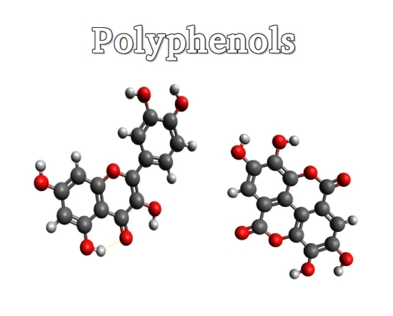 Molecules | Free Full-Text | Polyphenols: Extraction Methods ...