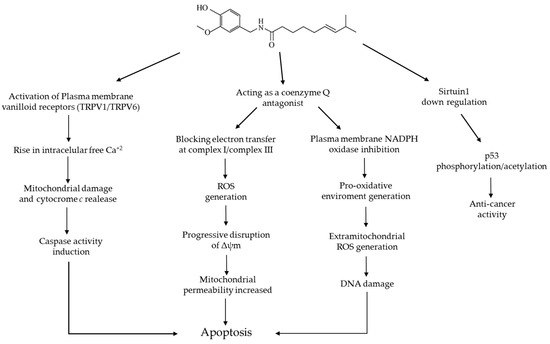 Capsaicin: From Plants to a Cancer-Suppressing Agent