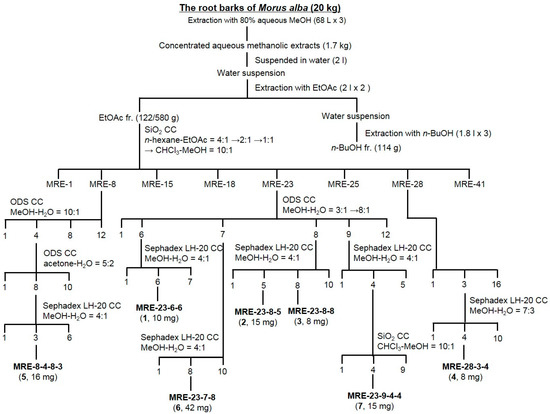 Molecules | Free Full-Text | Three New Isoprenylated Flavonoids from ...