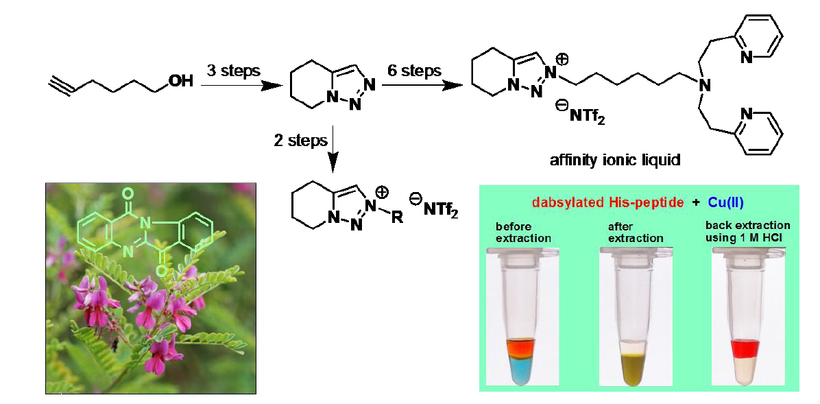 Molecules | Free Full-Text | Exploiting 1,2,3-Triazolium Ionic Liquids ...