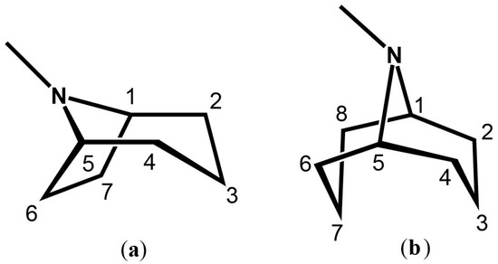 Molecules | Free Full-Text | Tropane and Granatane Alkaloid ...