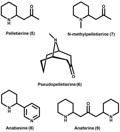 Molecules | Free Full-Text | Tropane and Granatane Alkaloid ...