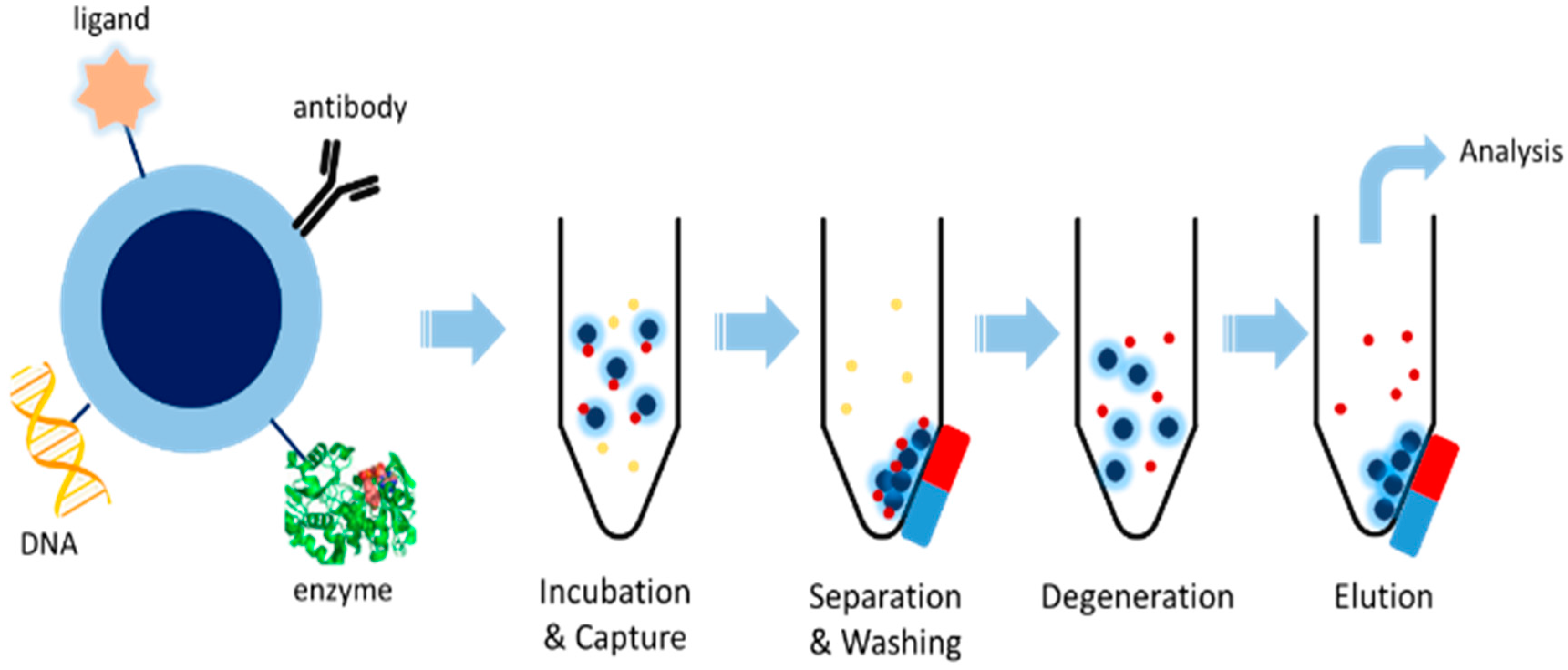Molecules | Free Full-Text | Ligand Fishing: A Remarkable Strategy for ...