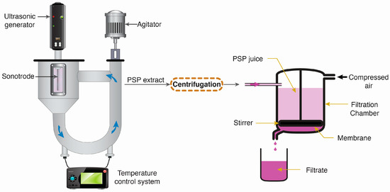 Ultrasound-Assisted Extraction, Centrifugation and Ultrafiltration ...