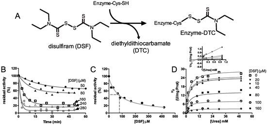 Inhibition of Urease by Disulfiram, an FDA-Approved Thiol Reagent Used ...