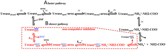 Inhibition of Urease by Disulfiram, an FDA-Approved Thiol Reagent Used ...