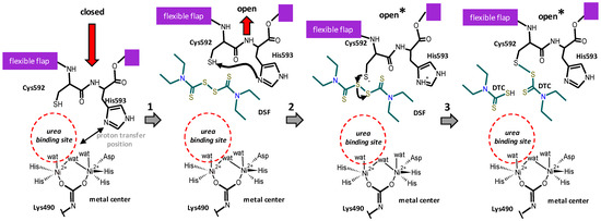 Inhibition of Urease by Disulfiram, an FDA-Approved Thiol Reagent Used ...