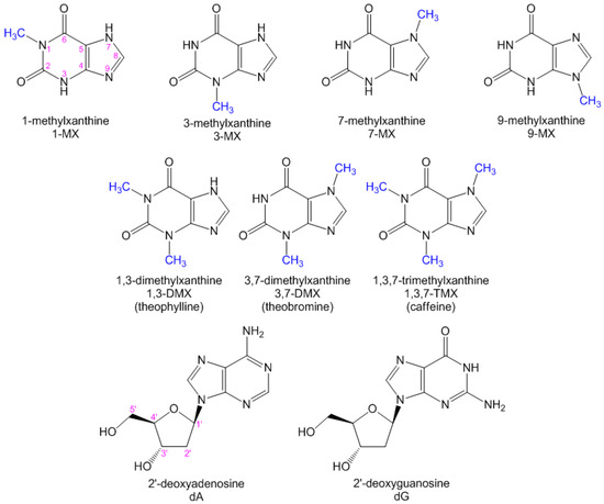 Molecules | Free Full-Text | Xanthines Studied via Femtosecond ...