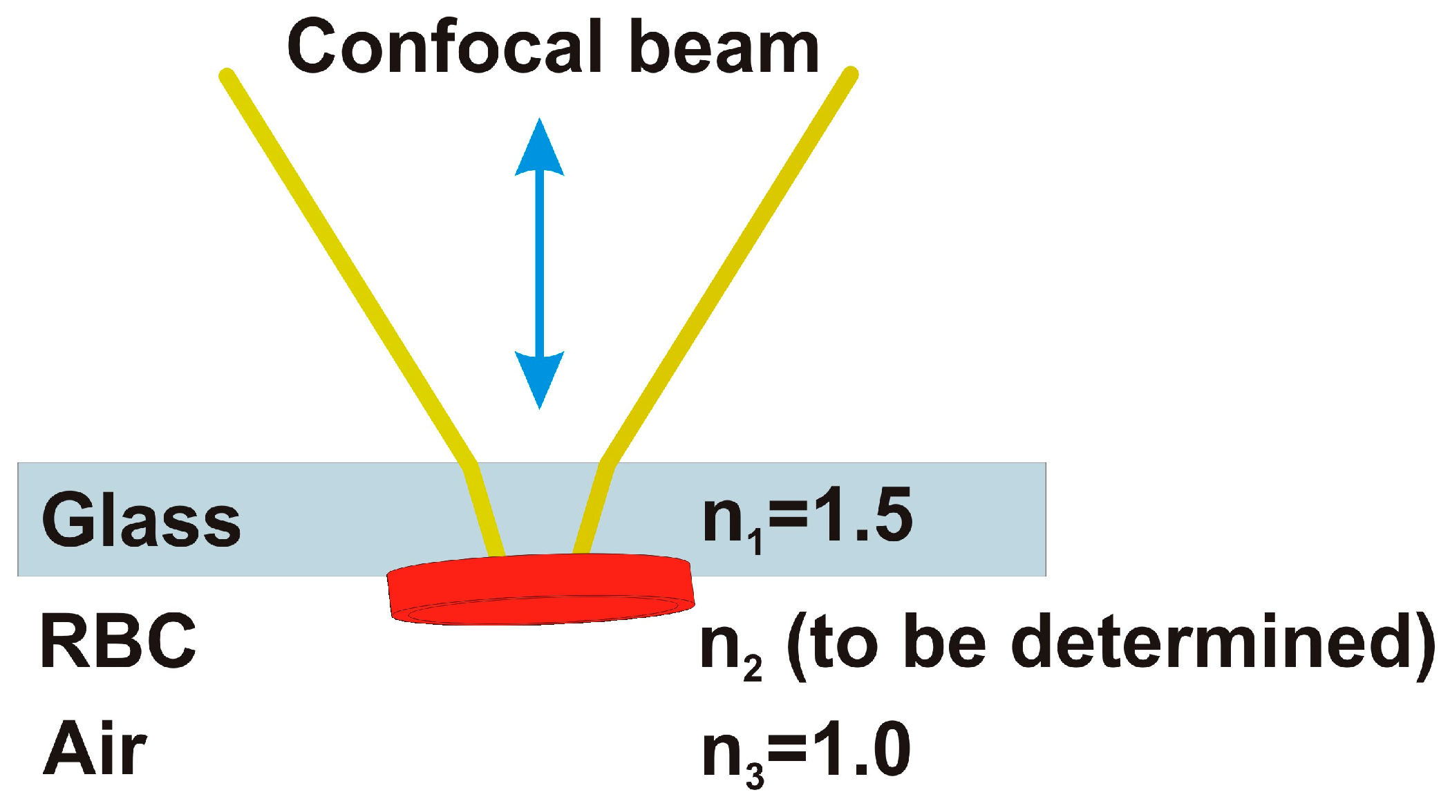 Phase and Index of Refraction Imaging by Hyperspectral Reflectance ...