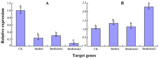 The Effects of Destruxin A on Relish and Rel Gene Regulation to the ...