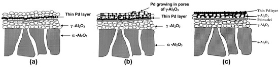 Molecules | Free Full-Text | Recent Advances in Pd-Based Membranes for ...