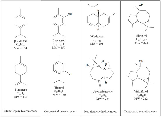 Biological Activities of Essential Oils: From Plant Chemoecology to ...