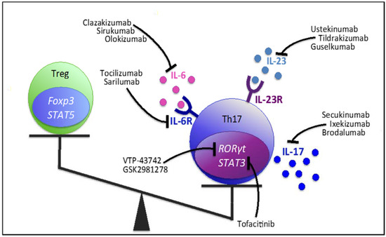 Molecules | Free Full-Text | Therapeutic Potential of Targeting the Th17/Treg Axis in Autoimmune ...
