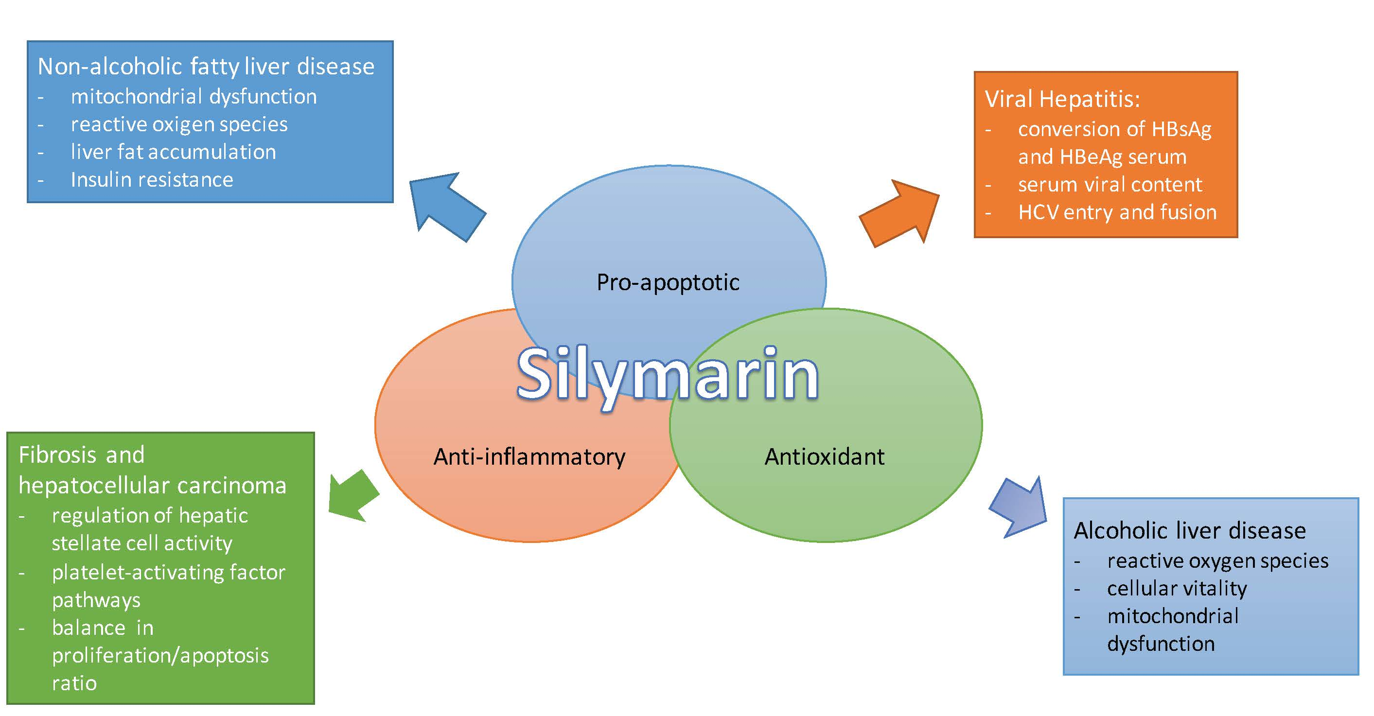 Molecules | Free Full-Text | Silymarin/Silybin and Chronic Liver ...
